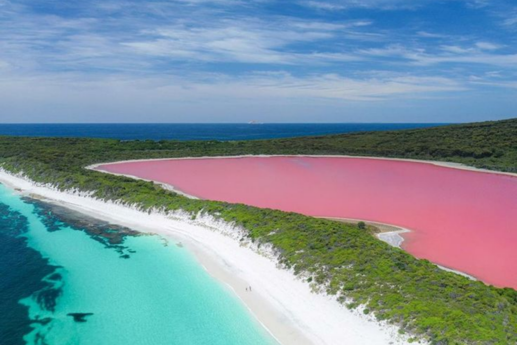 Explore the Mystical Beauty of the Pink Lake of Australia from UAE ...